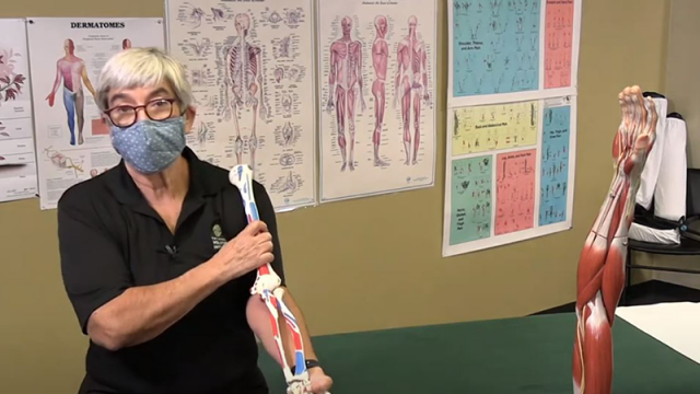 Staff Spotlight | NHI’s ANMT Program Founder & Manager, Cynthia Ribeiro ...