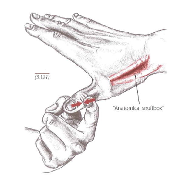 “Massage Therapist Thumb” from a Neuromuscular Therapy Perspective ...